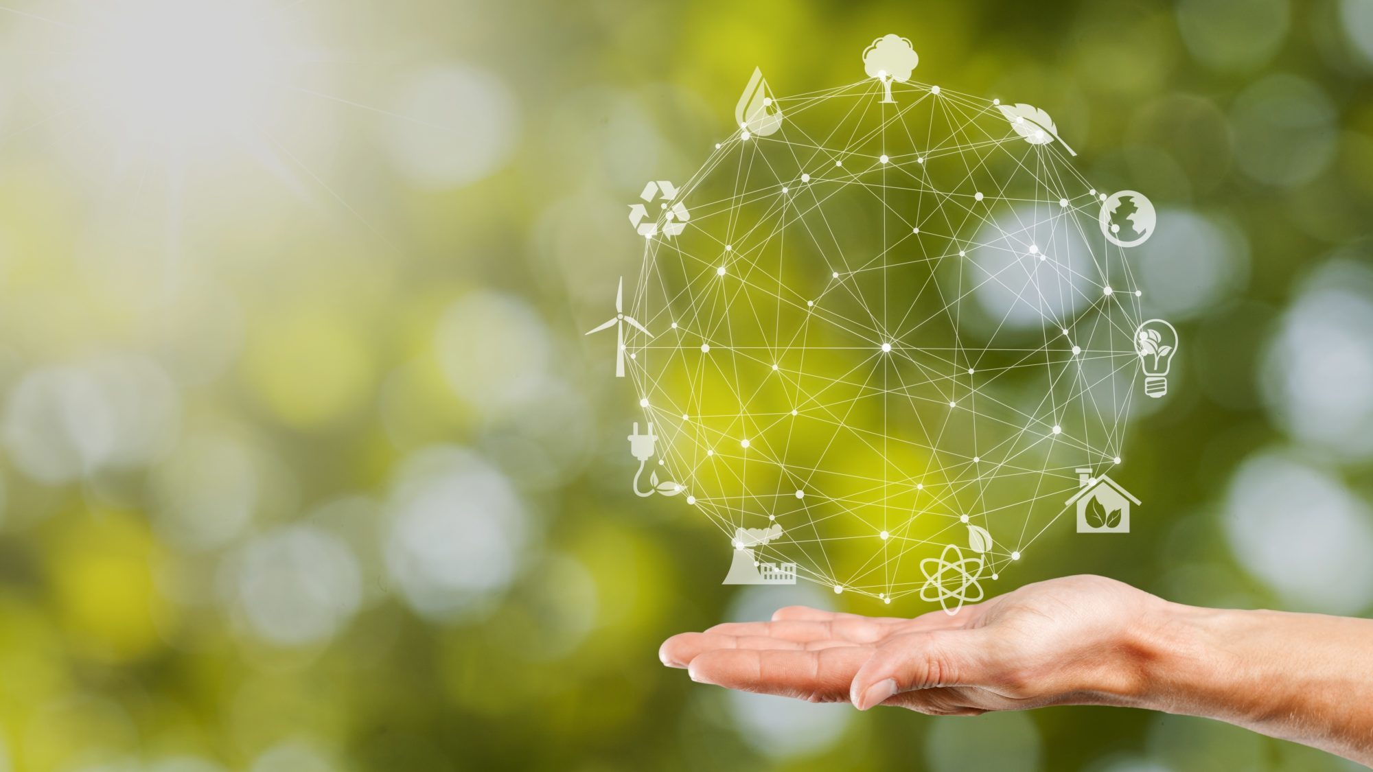 Strategy formulation and execution support for social impact investment in Southeast and South ...