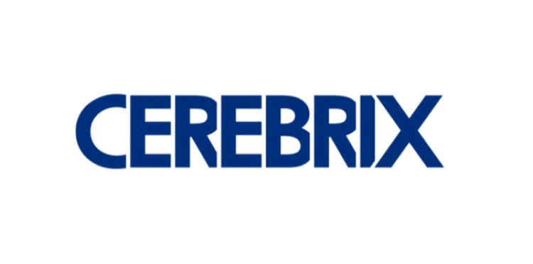 CEREBRIX | DREAM INCUBATOR INC