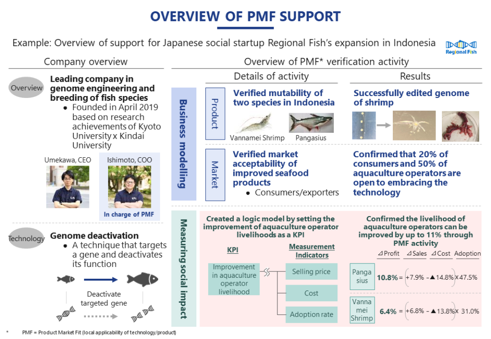 Strategy formulation and execution support for social impact investment ...