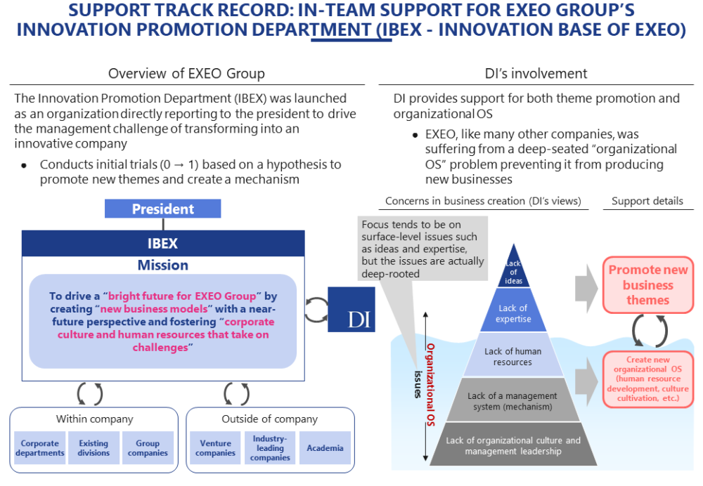 In-team support for the Innovation Promotion Department (IBEX ...